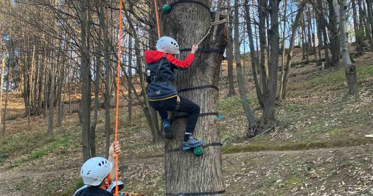 Inaugurato a Vicoforte il nuovo “tree climbing” al Bosco delle Scoperte ...