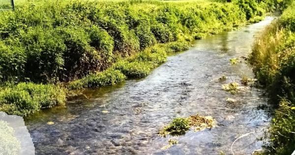 Beinette: sabato la camminata “Segui l’acqua” con Terre dei Bagienni ...